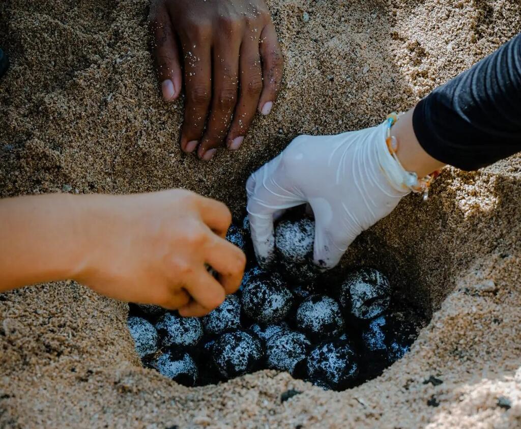 Worldpackers Epic Trips - Worldpackers