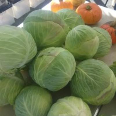 Eco Program in United States: Organic farming in the Matanuska Val...