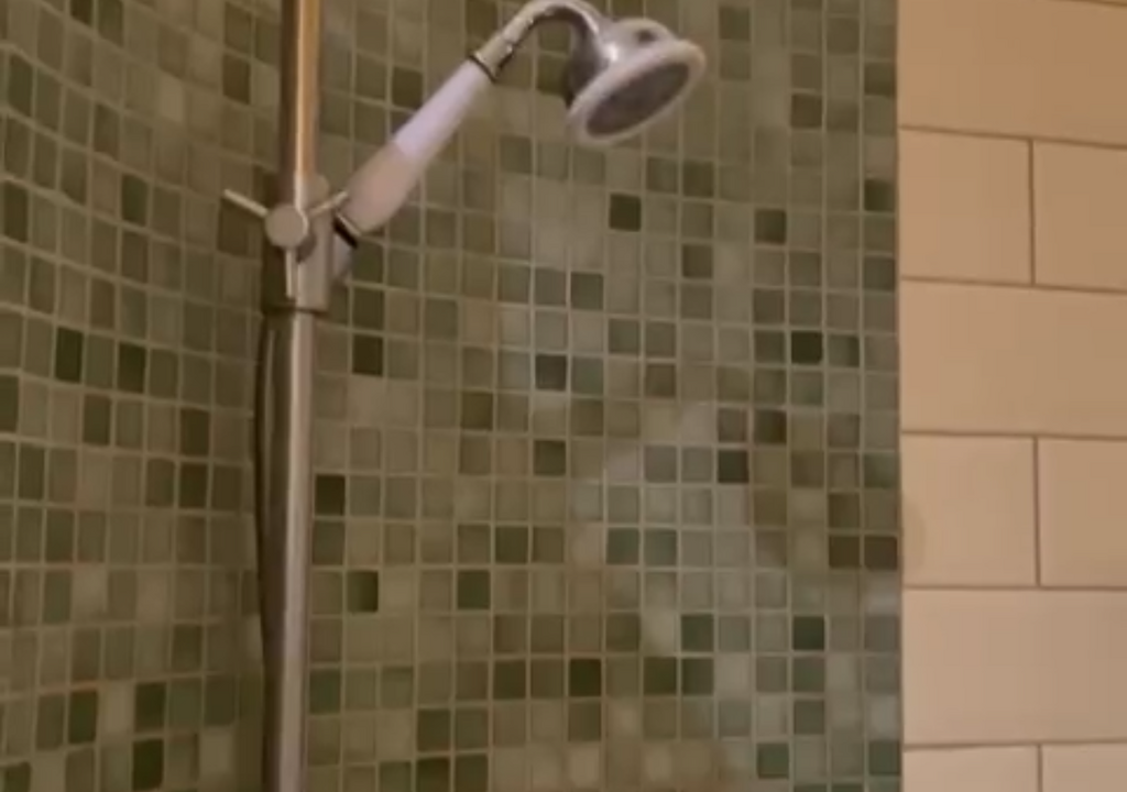 Work exchange in France: A family home in the lavender fields of P...