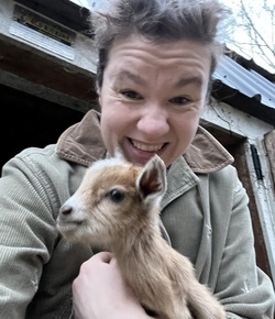 Rainbow Koala Farm | Proyectos Ecológicos | Estados Unidos