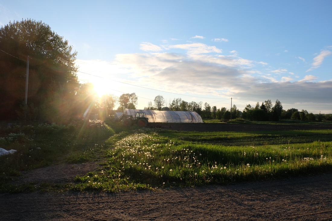 Eco Program in Sweden: Help us at our Sustainable Organic Farming ...
