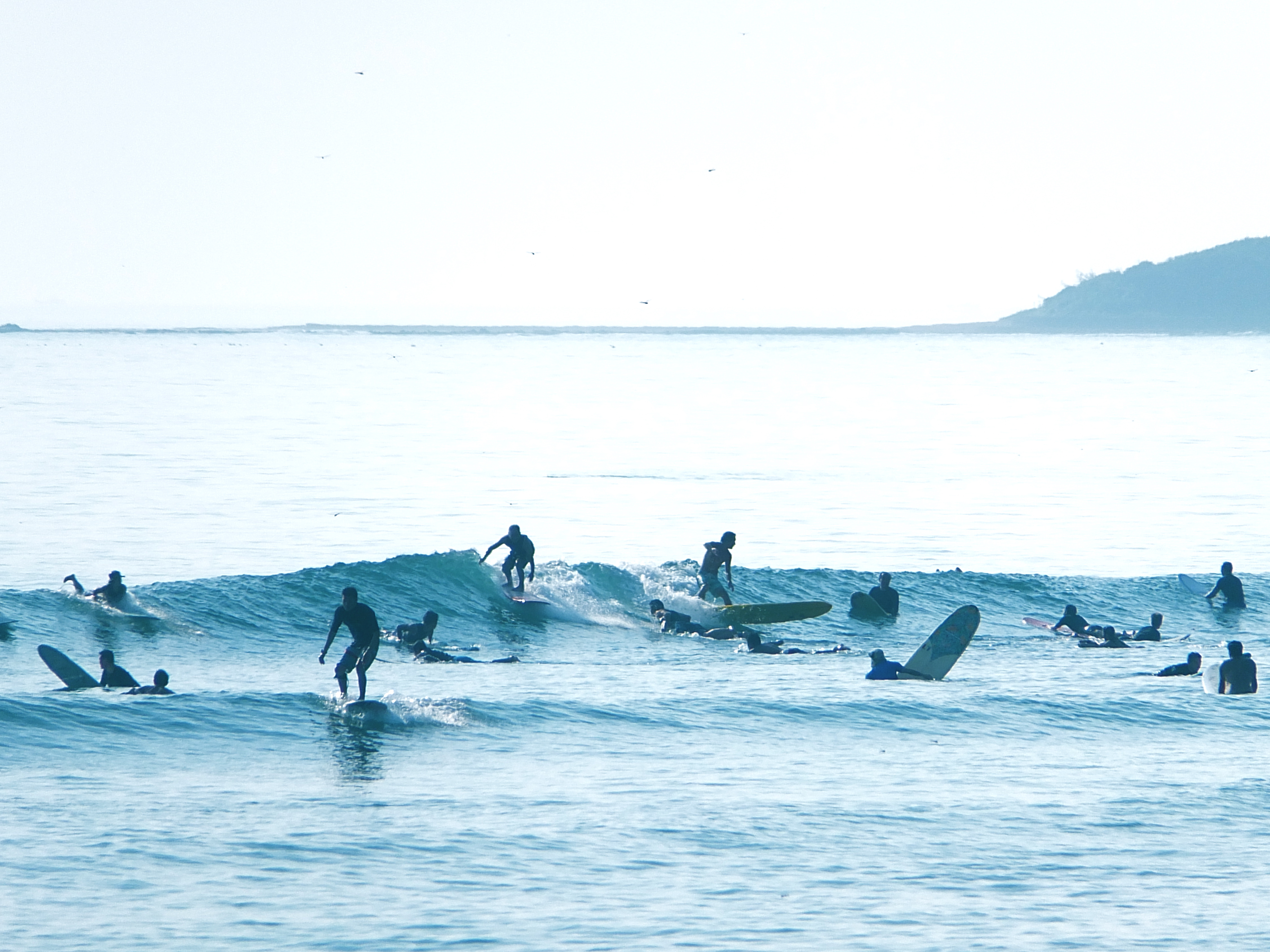 Work exchange in Japan: Enjoy the best of Japan surf!