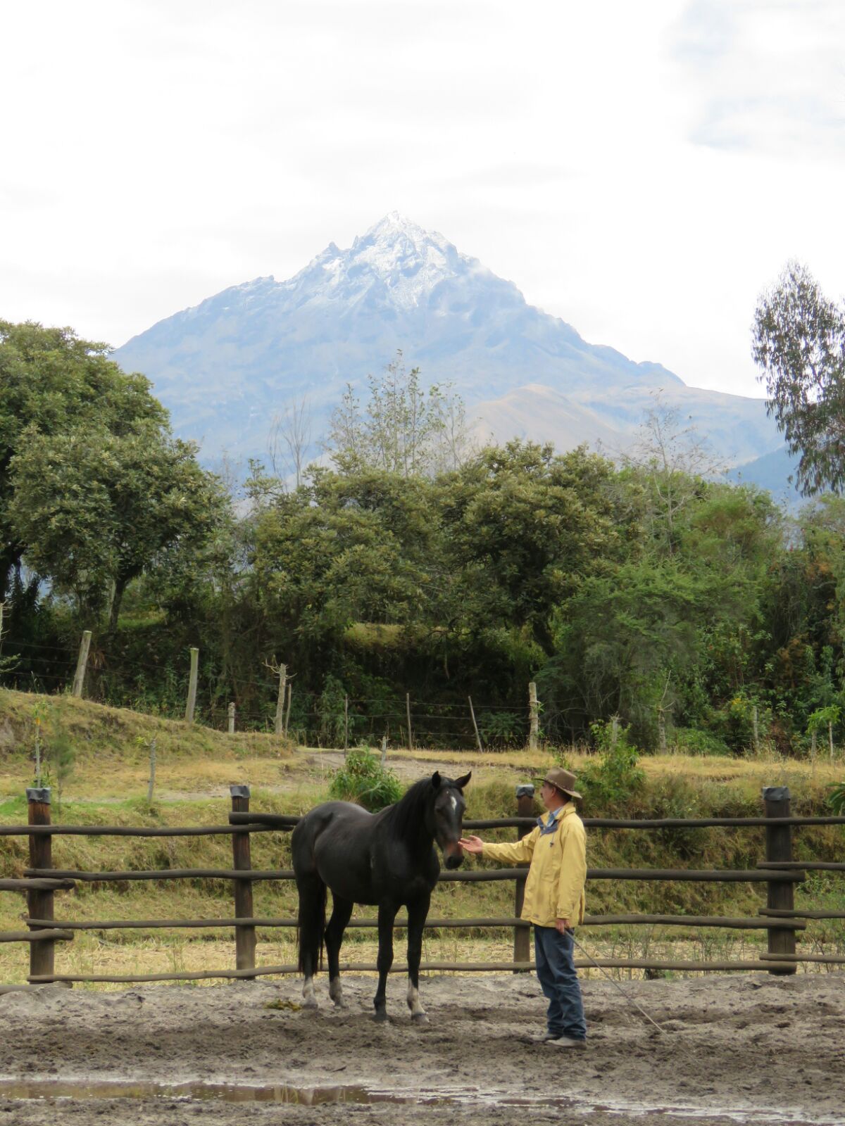 Eco Program in Ecuador: Do you know how to train a horse?