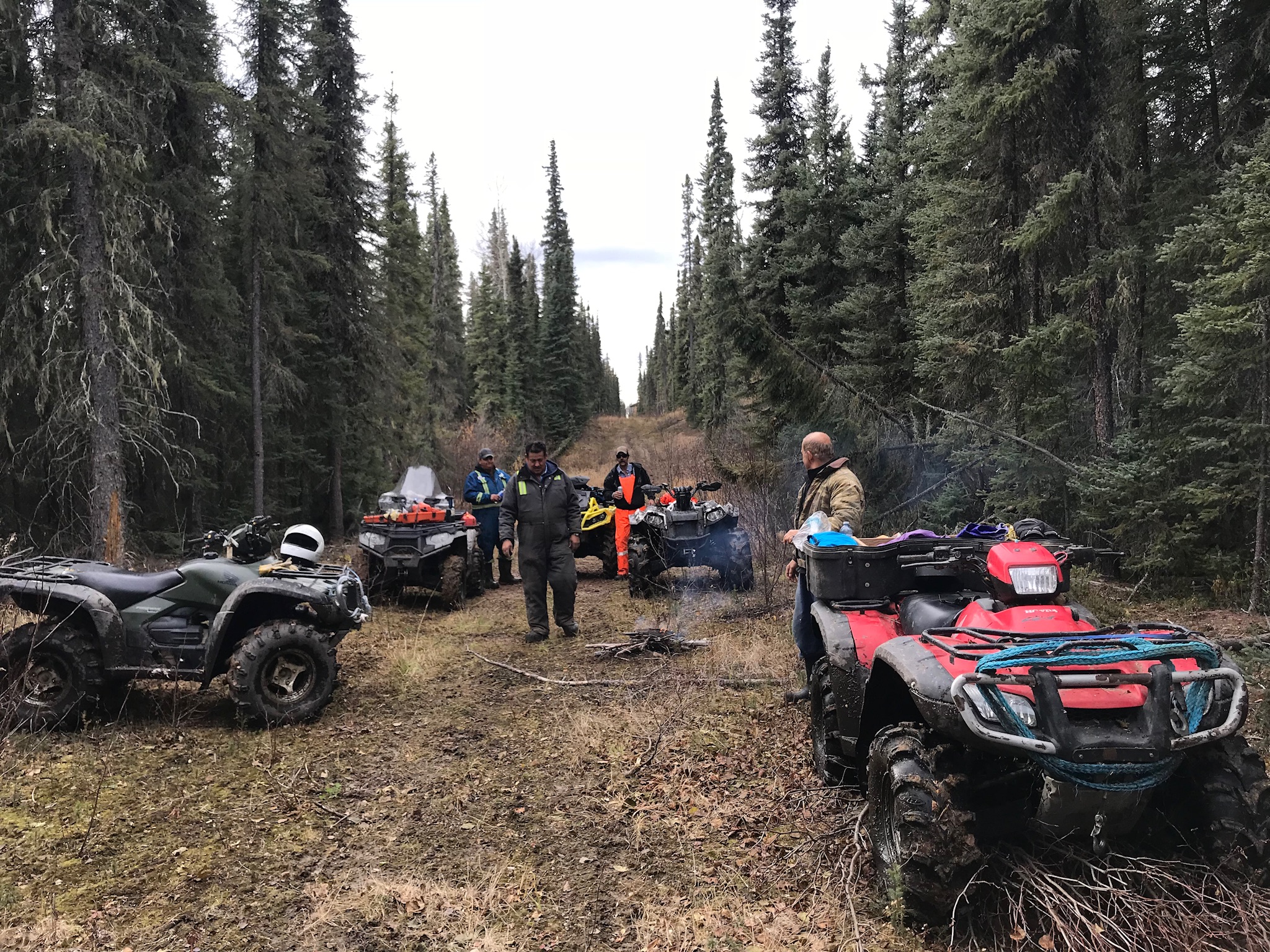 Work exchange in Canada: Help us with regular yard and household m...