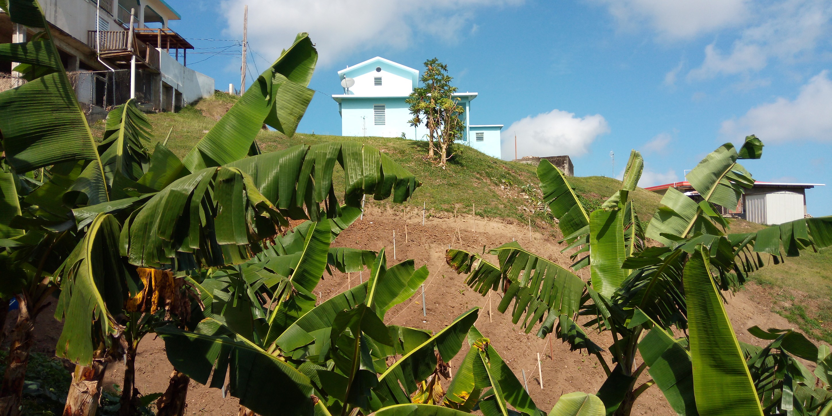 Proyectos Ecológicos Puerto Rico: Permaculture project helper