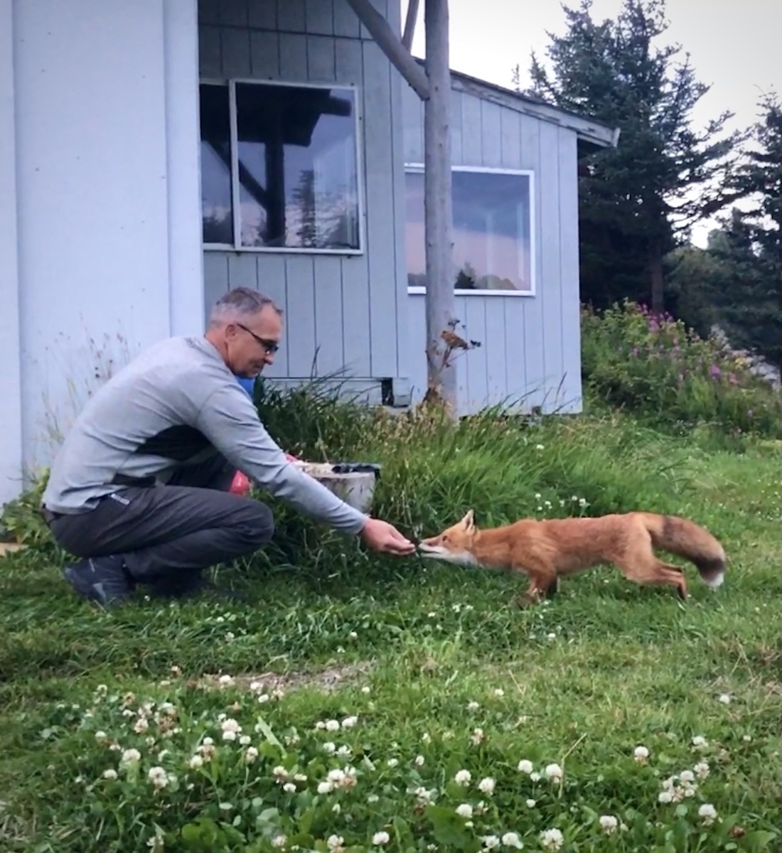 Work exchange in United States: Alaskan Remote Homestead Living