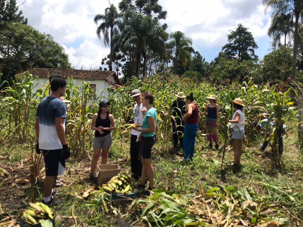 Proyectos Ecológicos Brasil: Permacultores, nos ajude com os manej...