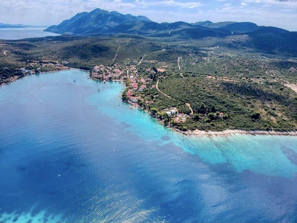 Eco Program in Croatia: Olive trees harvesting in Croatia