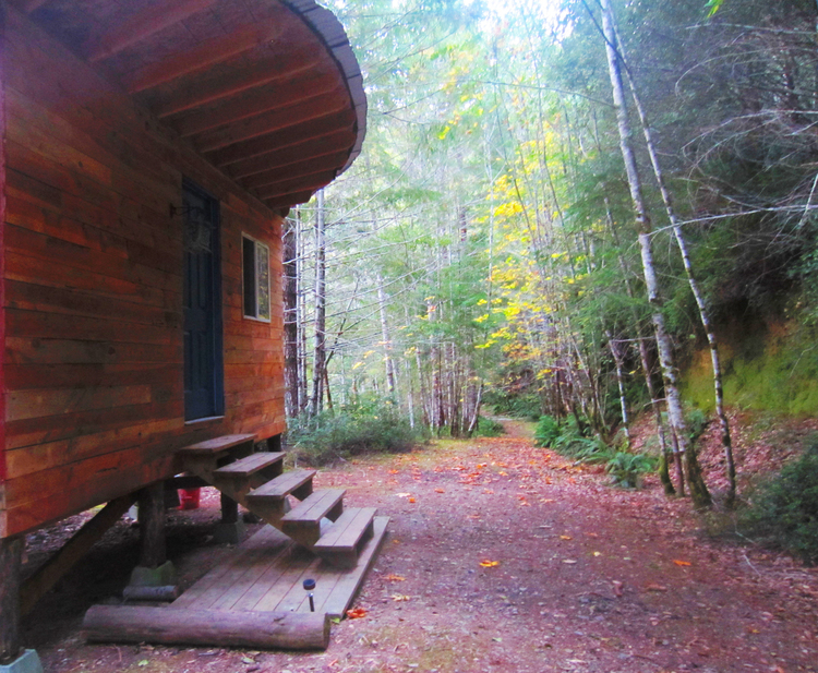 Eco Program in United States: Off-Grid Wilderness Permaculture Farm