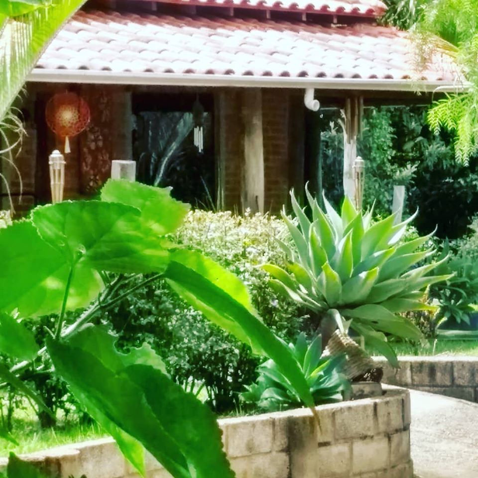 Eco Program in Brazil: We are looking for people interested ayahu...