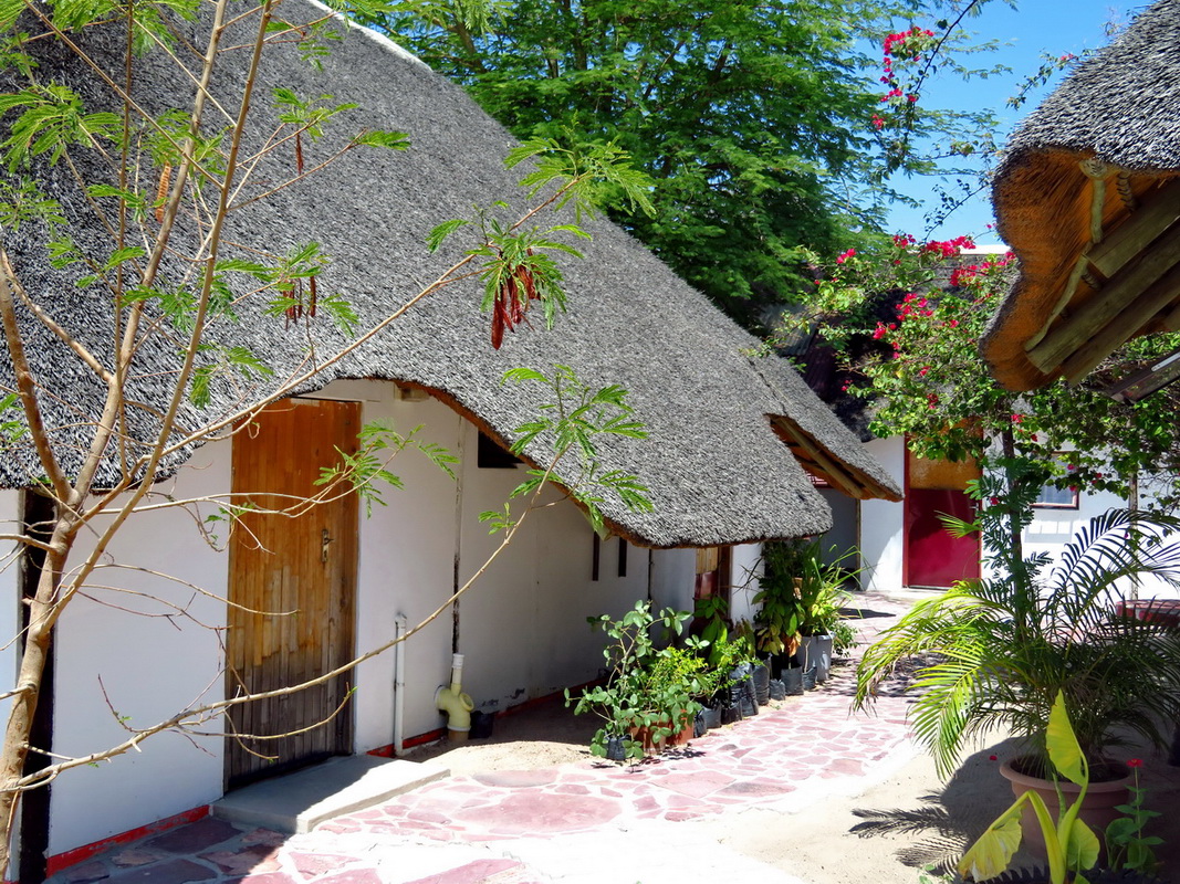 Social Impact in Namibia: Bring your creativity and new ideas to o...