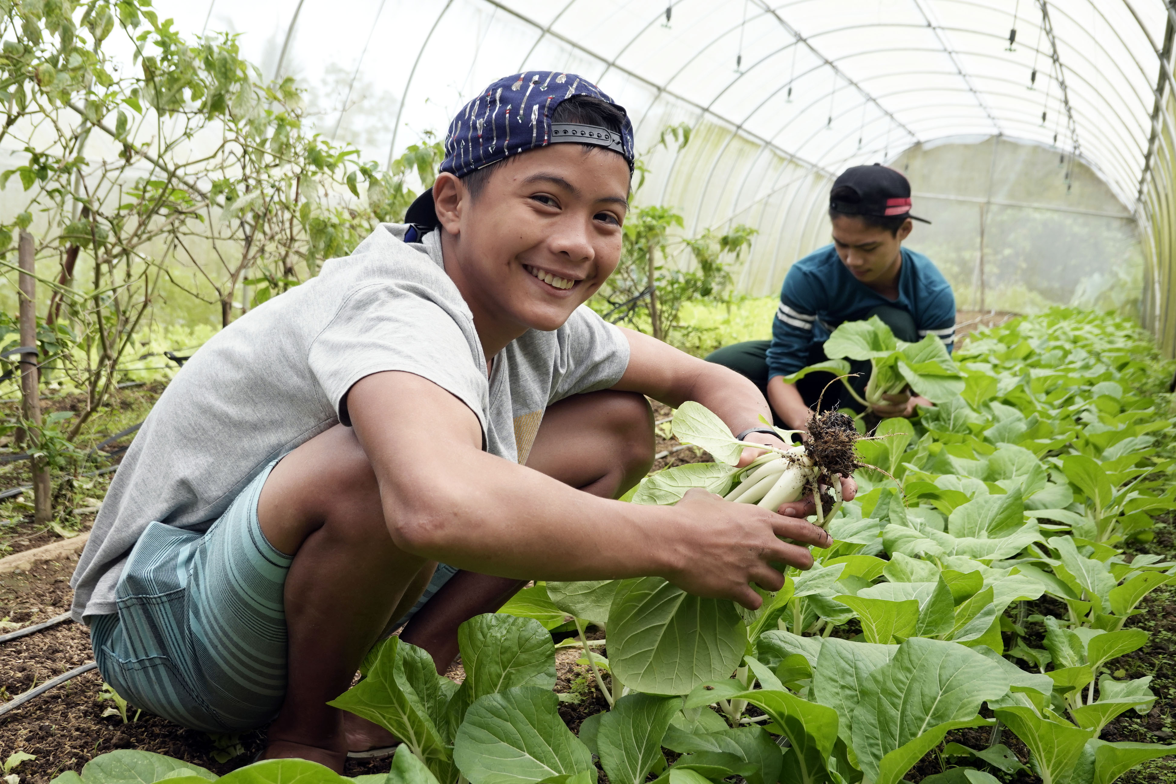 Eco Program in Philippines: Be part of an NGO Organic Farm in Puer...