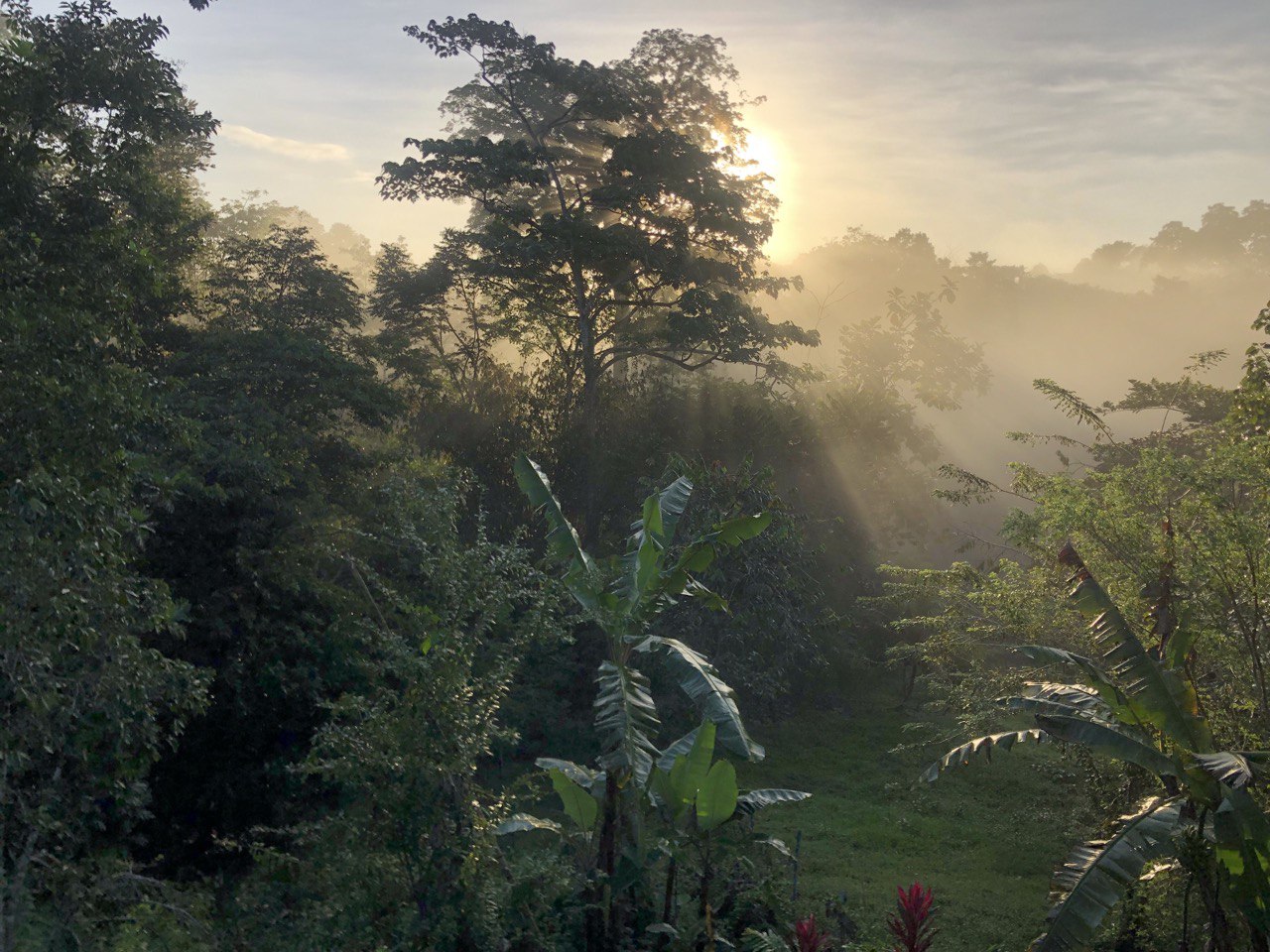 Eco Program in Costa Rica: Live simply in the jungle – Costa Rica...