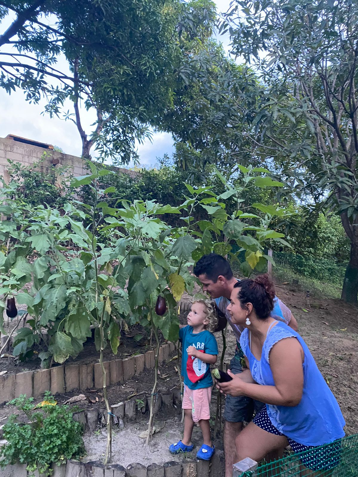 Proyectos Ecológicos Colombia: Acompañanos a Educar.
