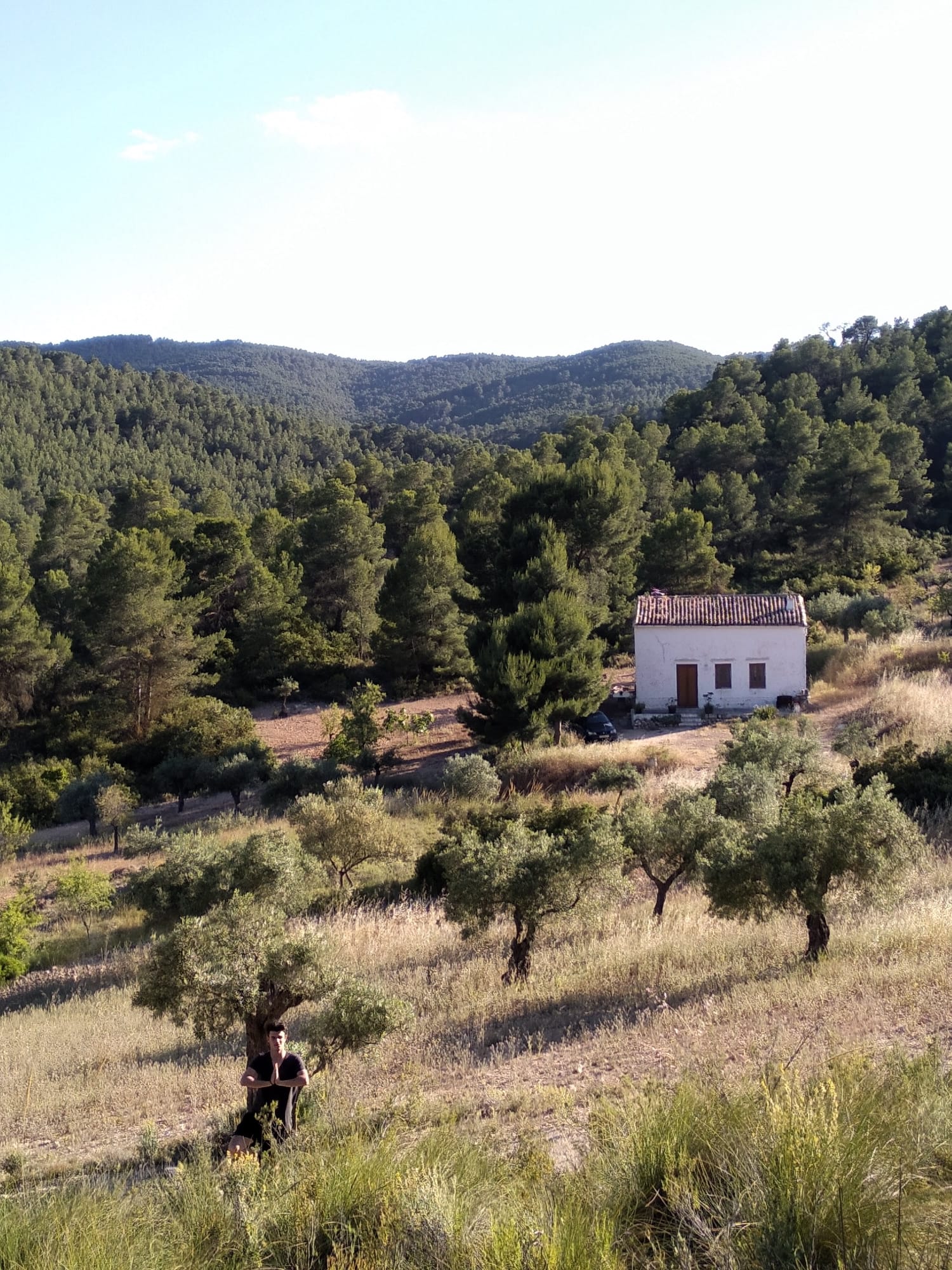 Eco Program in Spain: Ayúdame con tareas de una finca agro-forestal.