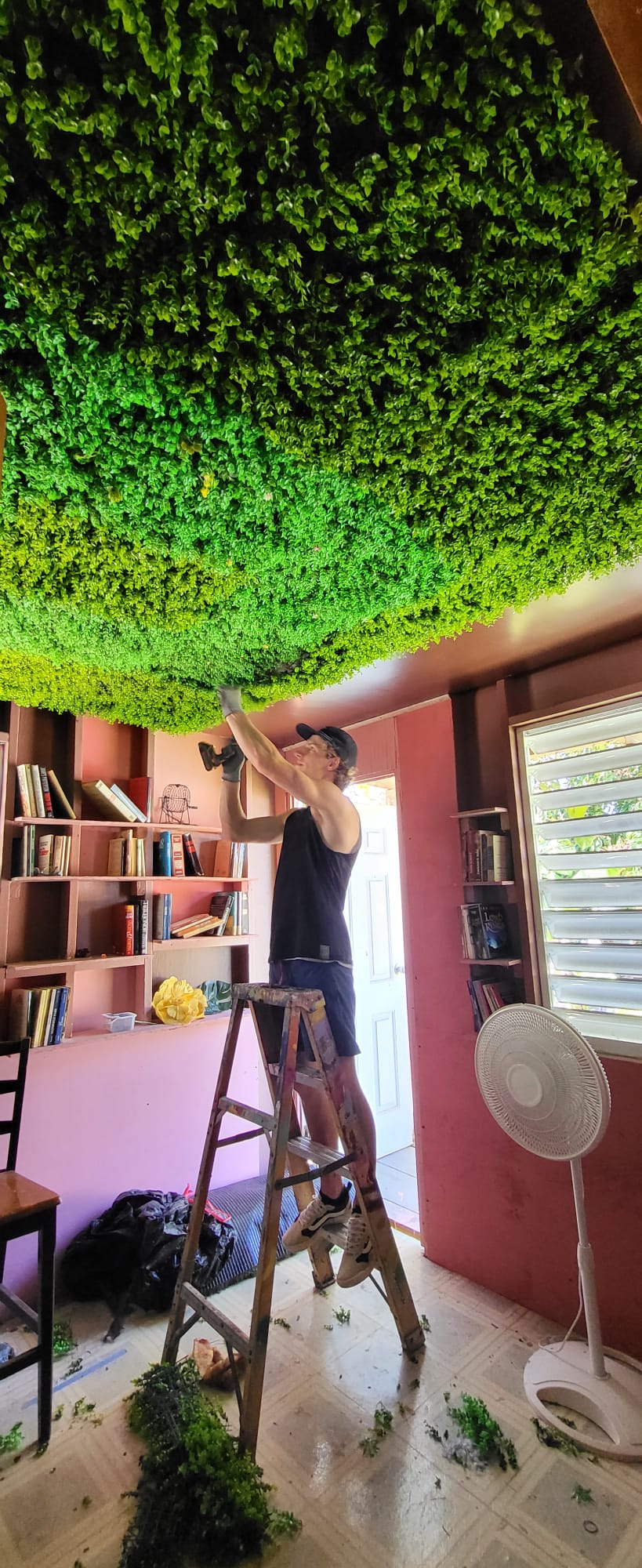 Work exchange in Puerto Rico: Carpenters/Handyman wanted in Puerto...