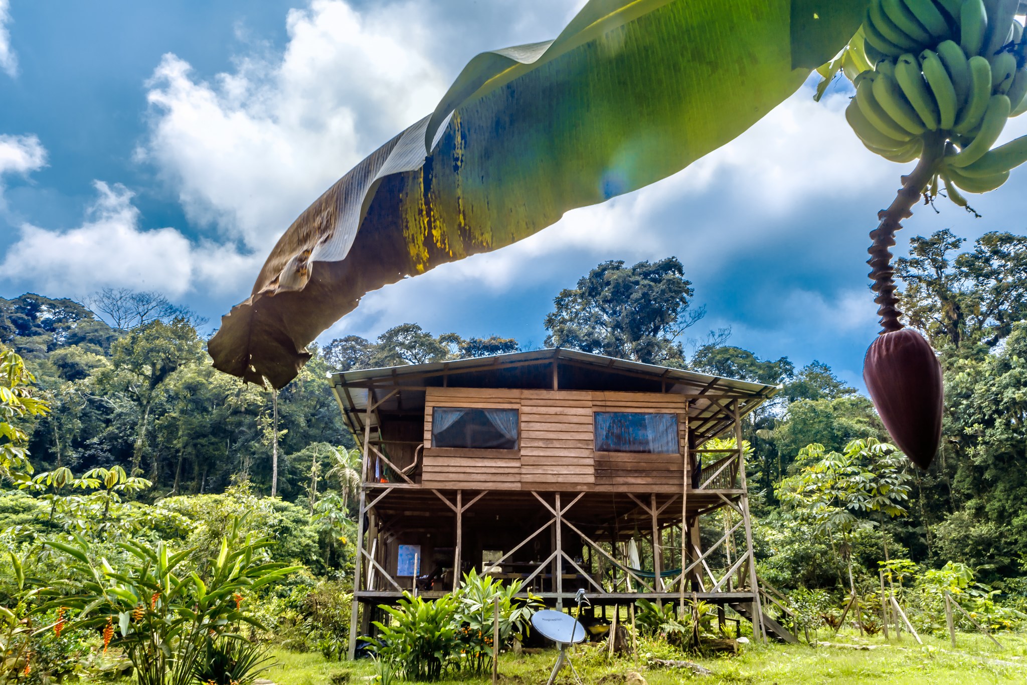 Proyectos Ecológicos Colombia: See animals while live in an Ecolod...