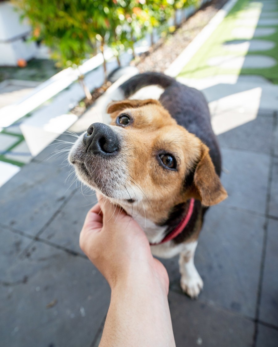 Work exchange in Indonesia: Help us as a social rep