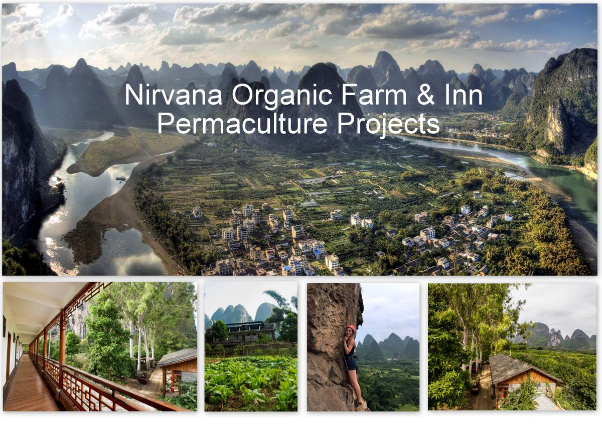 Eco Program in China: Help us in a permaculture farm in China