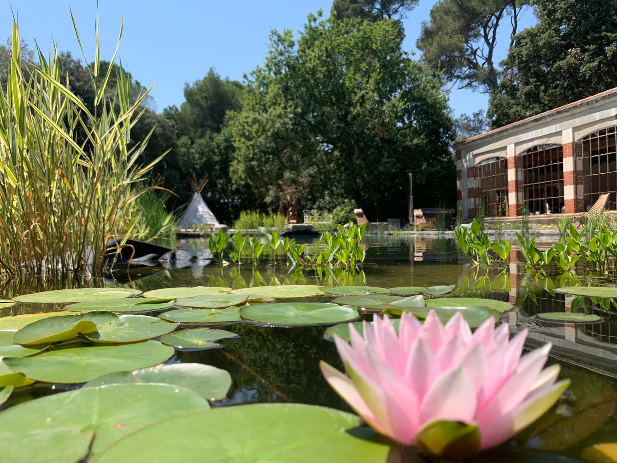 Eco Program in France: Permaculture based Retreat Venue S. France ...