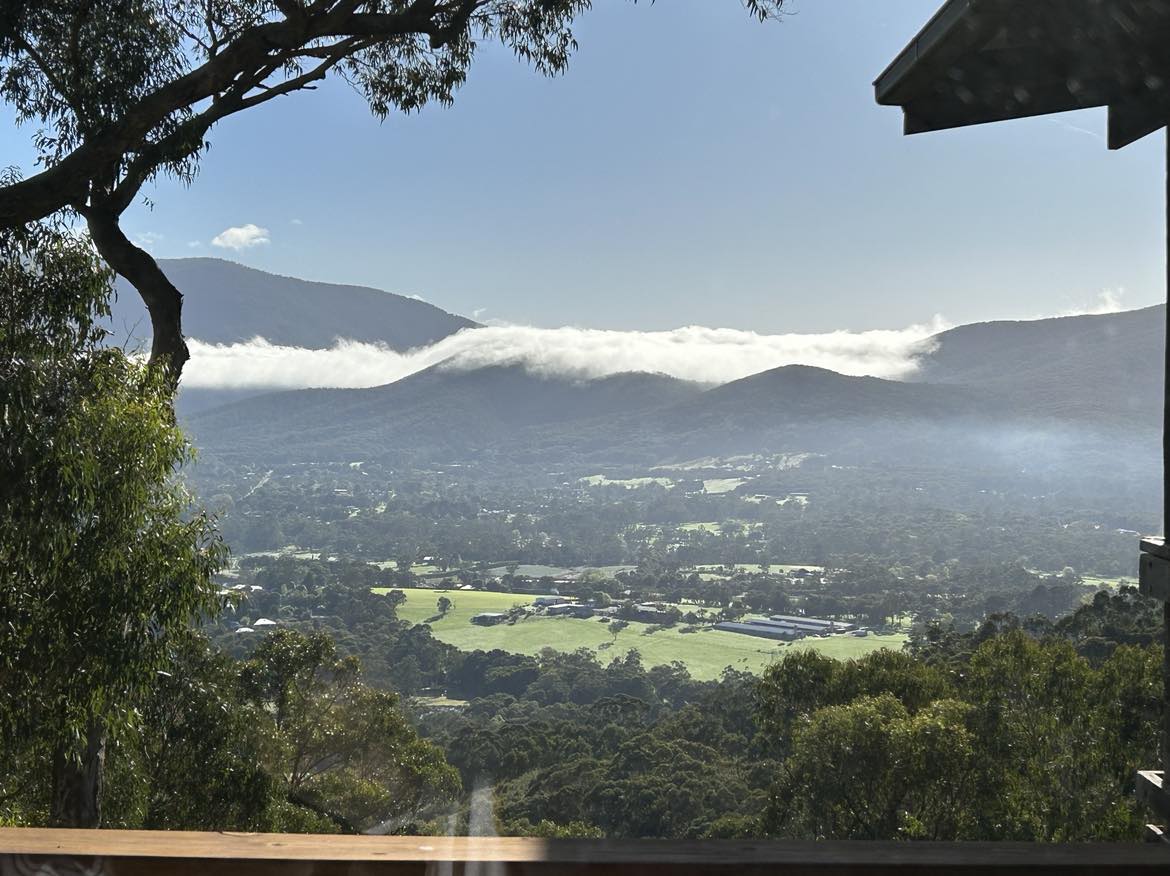 Proyectos Ecológicos Australia: Forest regeneration project in Aus...