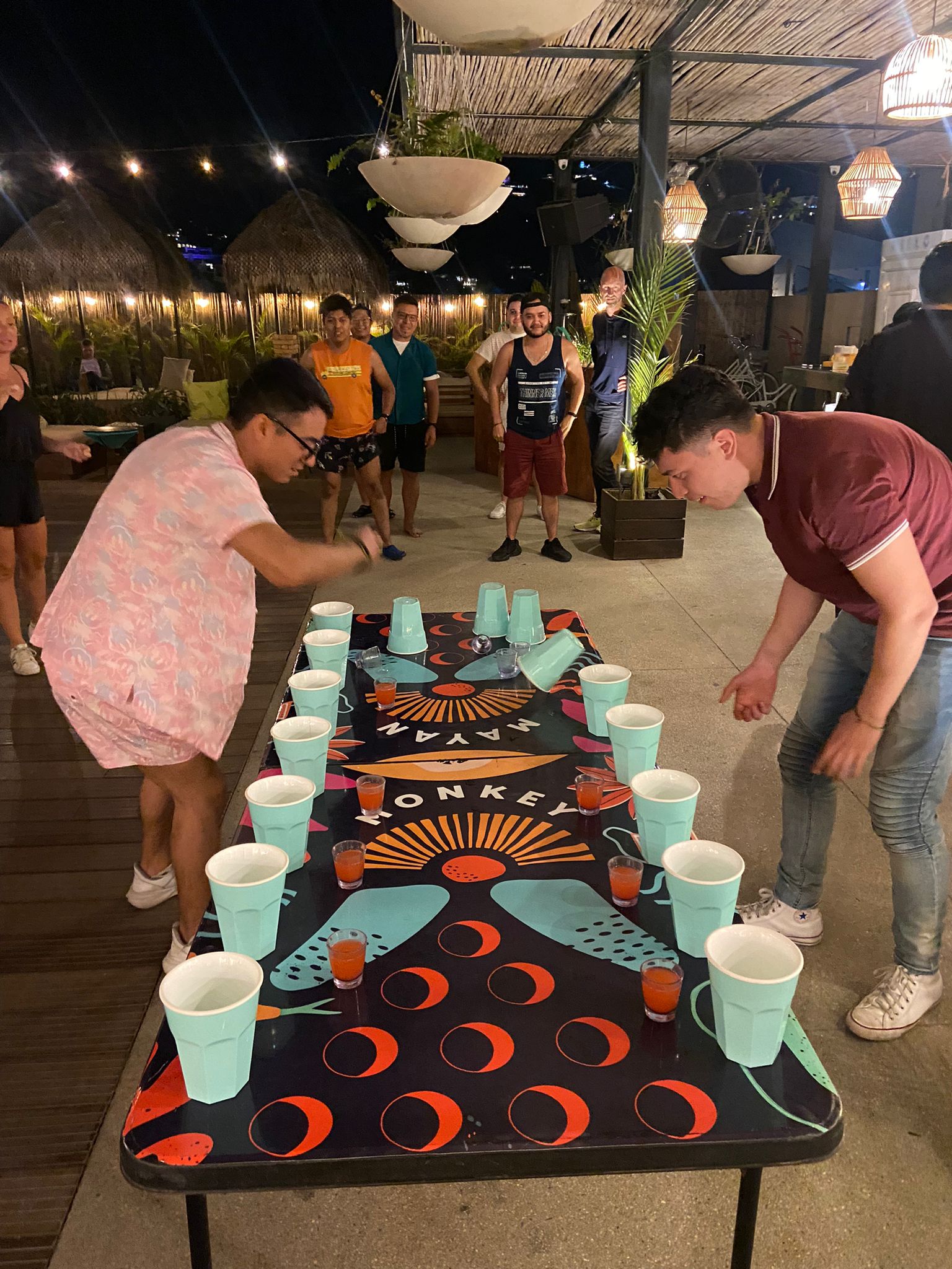 Work exchange in Mexico: ¡Ven a conocer los Cabos y sé voluntario ...