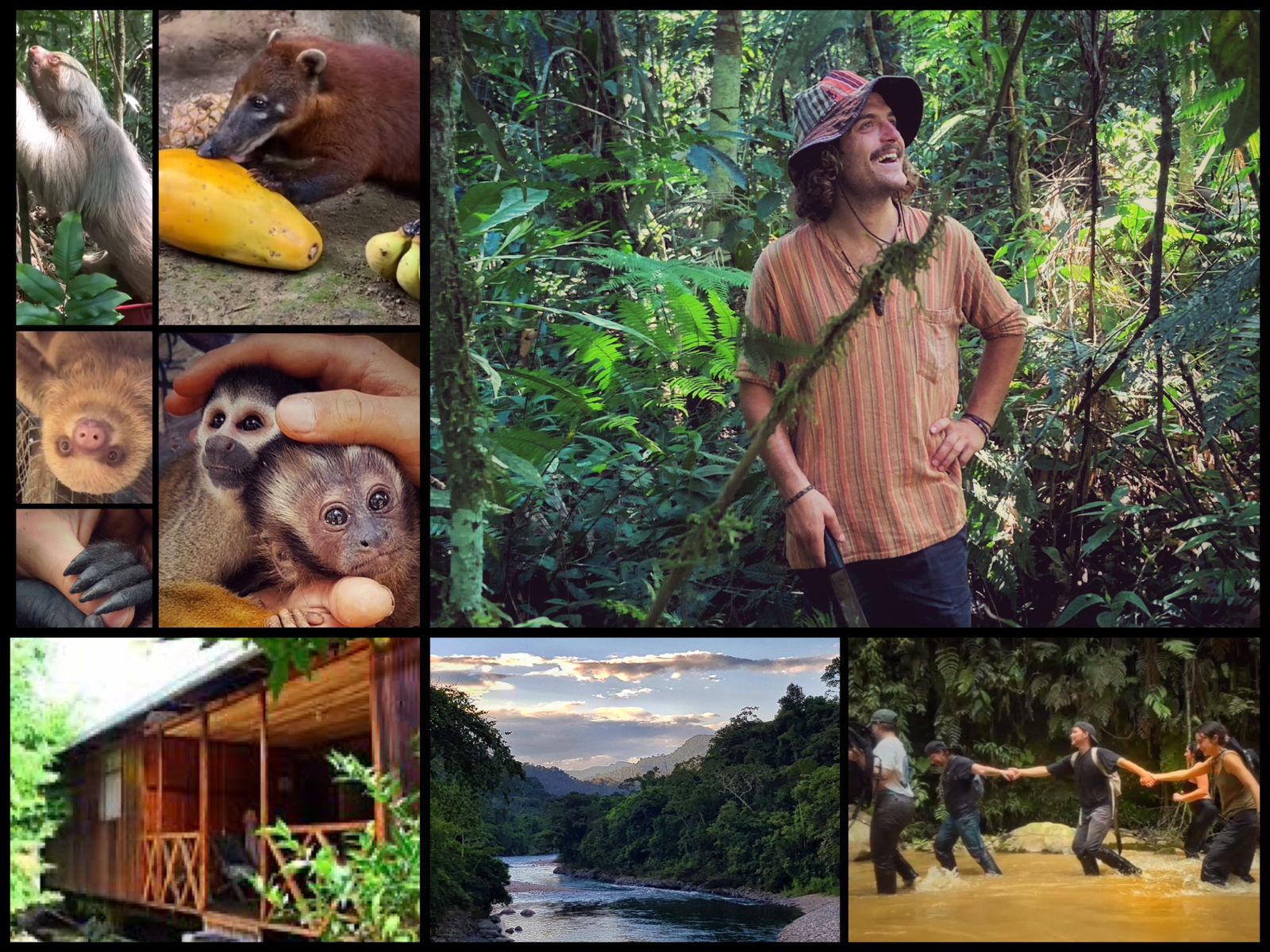 Eco Program in Peru: Come assist in animal rescue, rainforest Amaz...