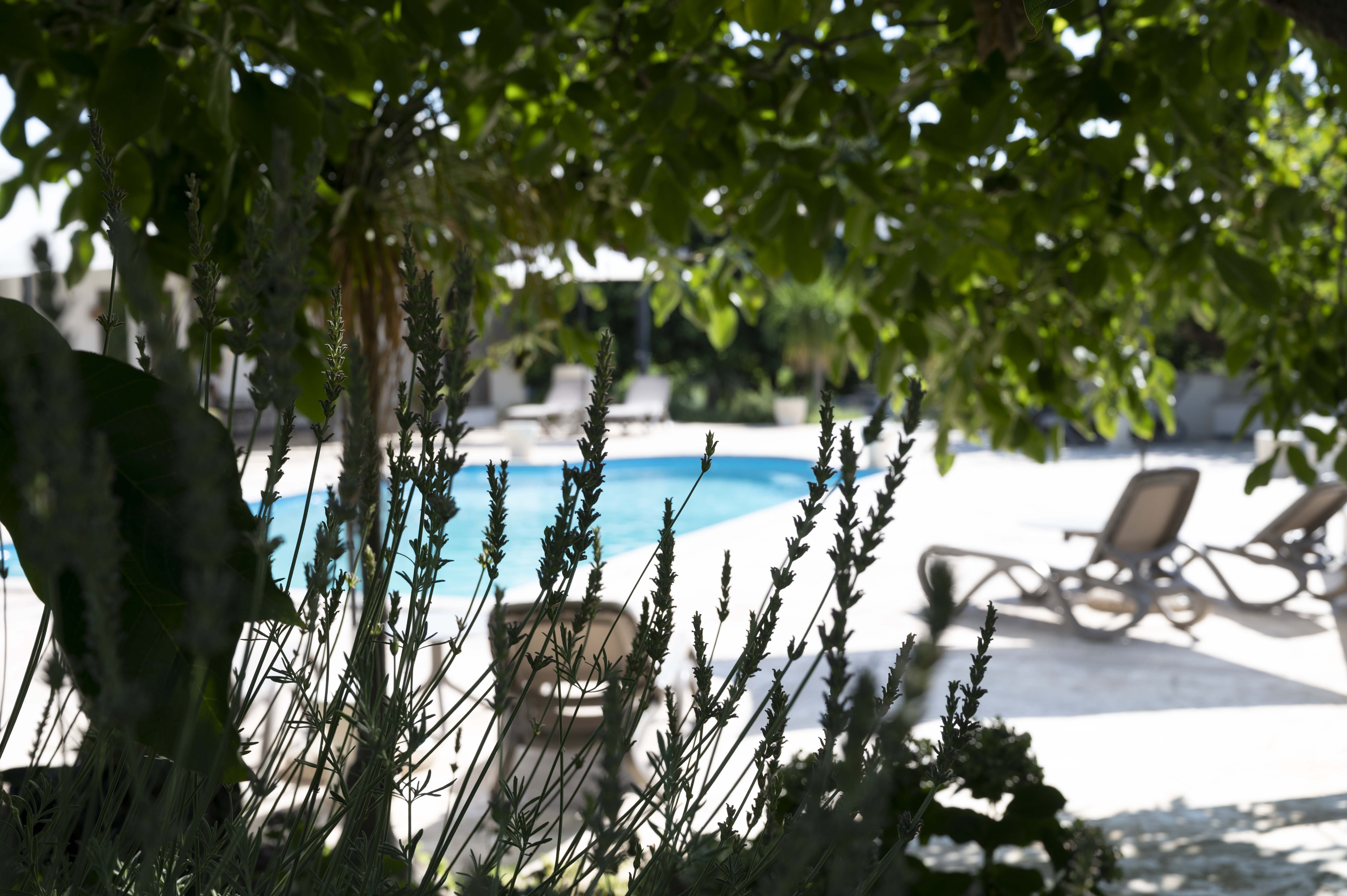 Eco Program in Italy: Help us keep our garden clean and tidy!
