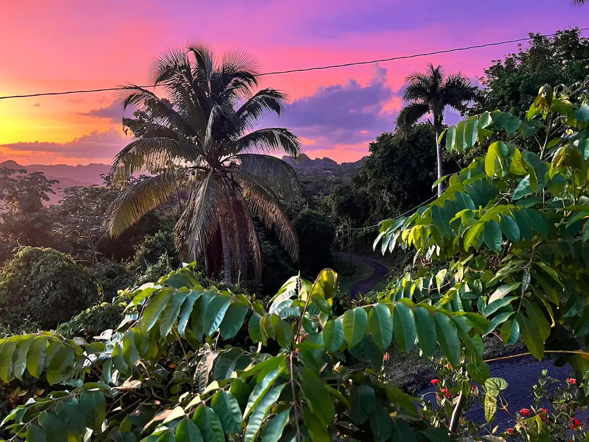 Eco Program in Puerto Rico: Help us develop our Wellness/Education...