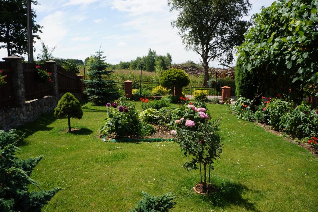 Eco Program in Poland: Let's Bee - save the bees and protect biodi...