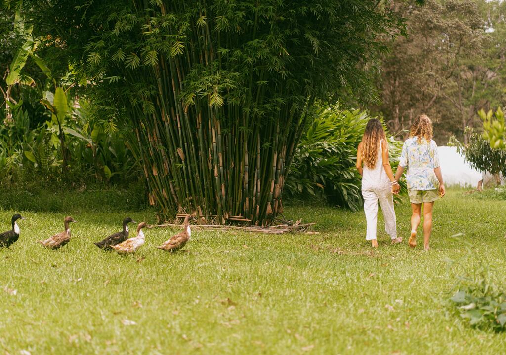 Eco Program in United States: Aloha Initiative membership program