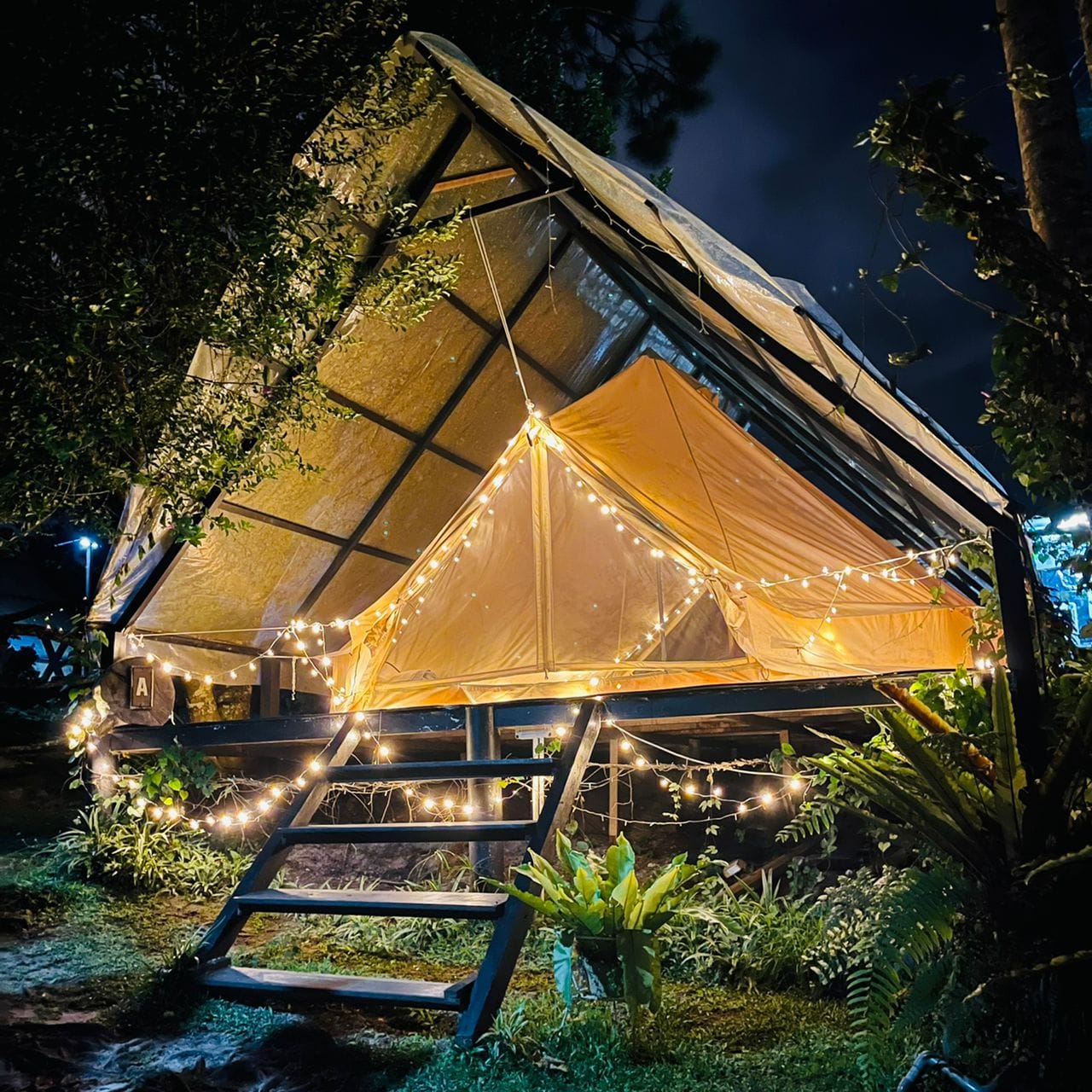 Work exchange in Malaysia: A heartfelt experience in the Cameron H...