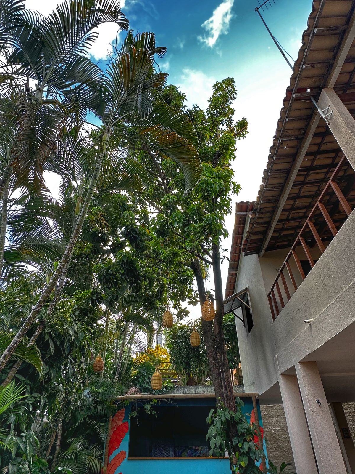 Work exchange in Brazil: Desfrute Pipa e nosso hostel
