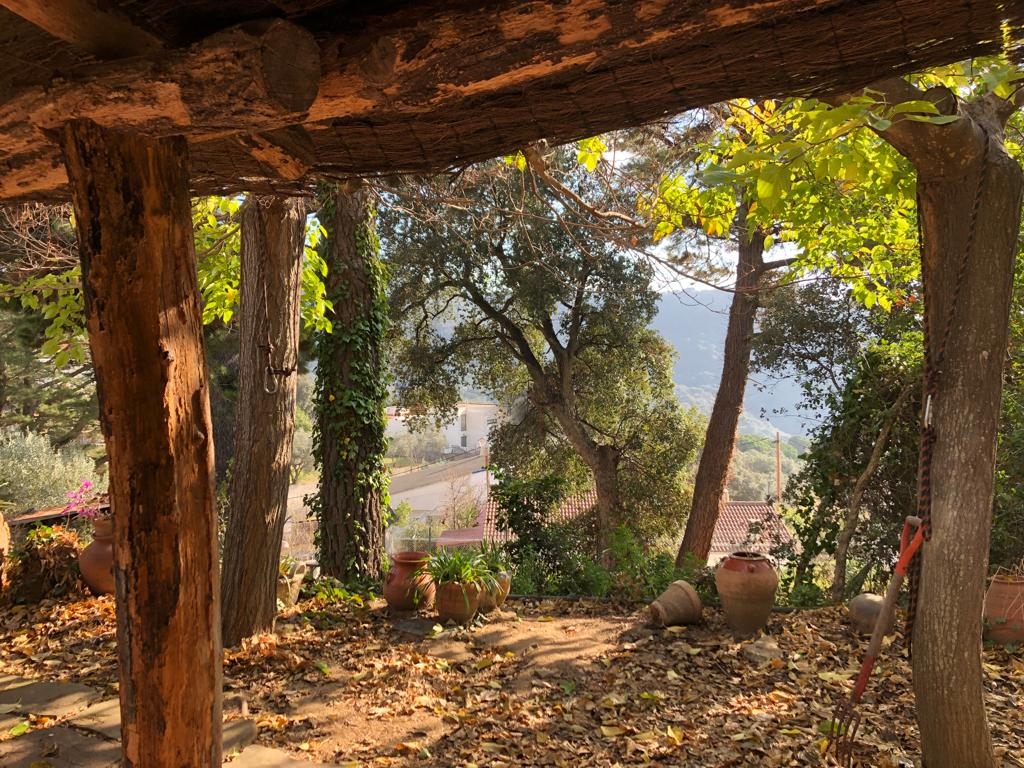 Work exchange in Spain: 🌿 ¡Crea un Refugio de Naturaleza en Catal...