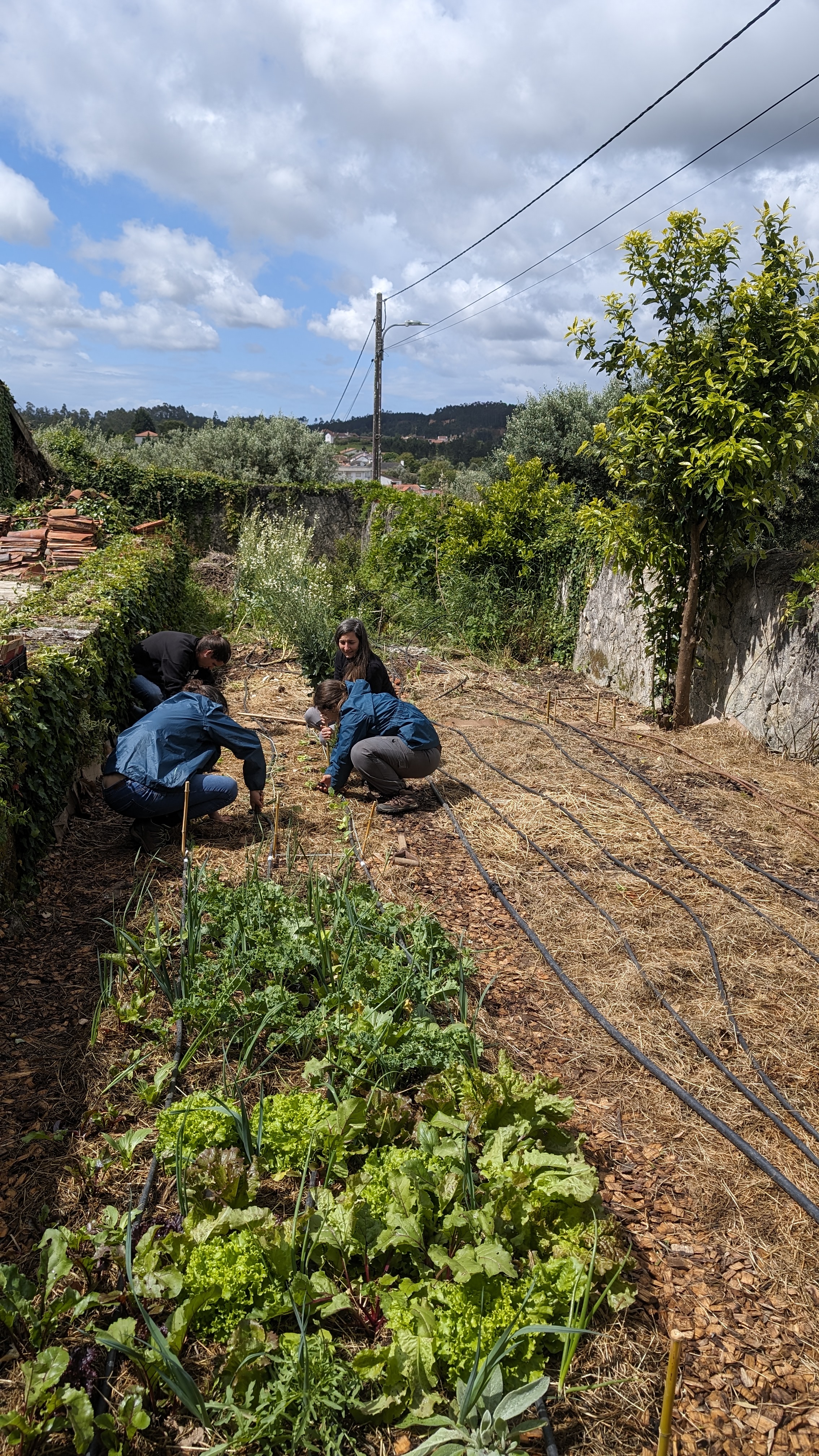 Eco Program in Portugal: Gardener & Housekeeper