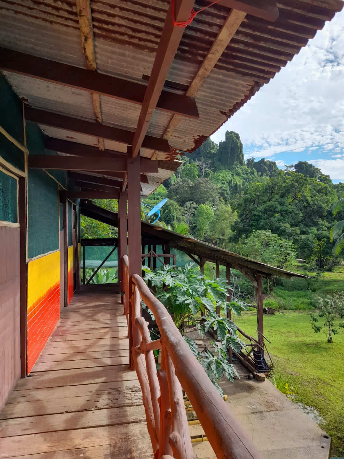 Projetos Ecológicos Costa Rica: Seeking artists, painters and hand...