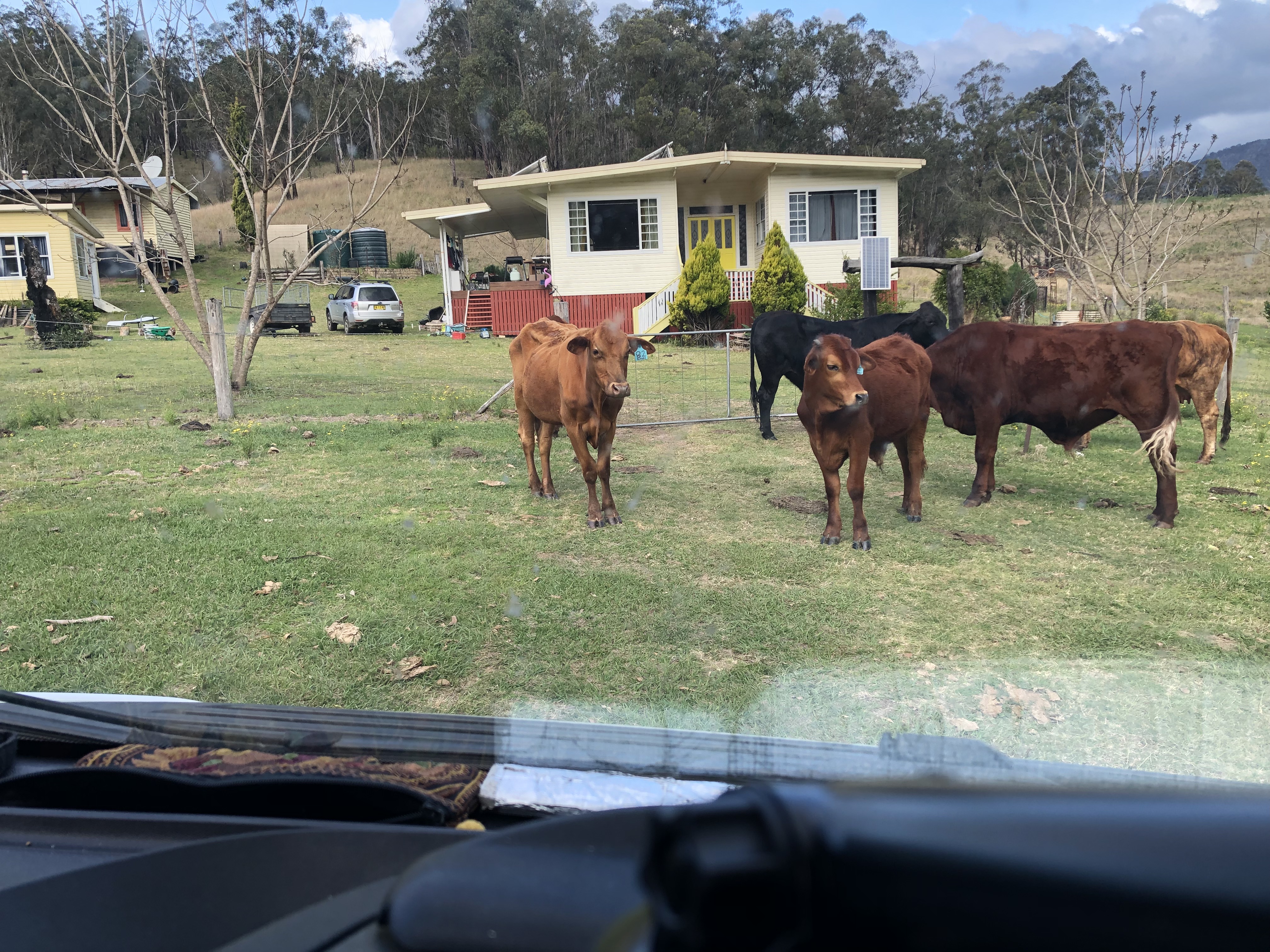 Eco Program in Australia: Help out as a Wild Card at our bush prop...