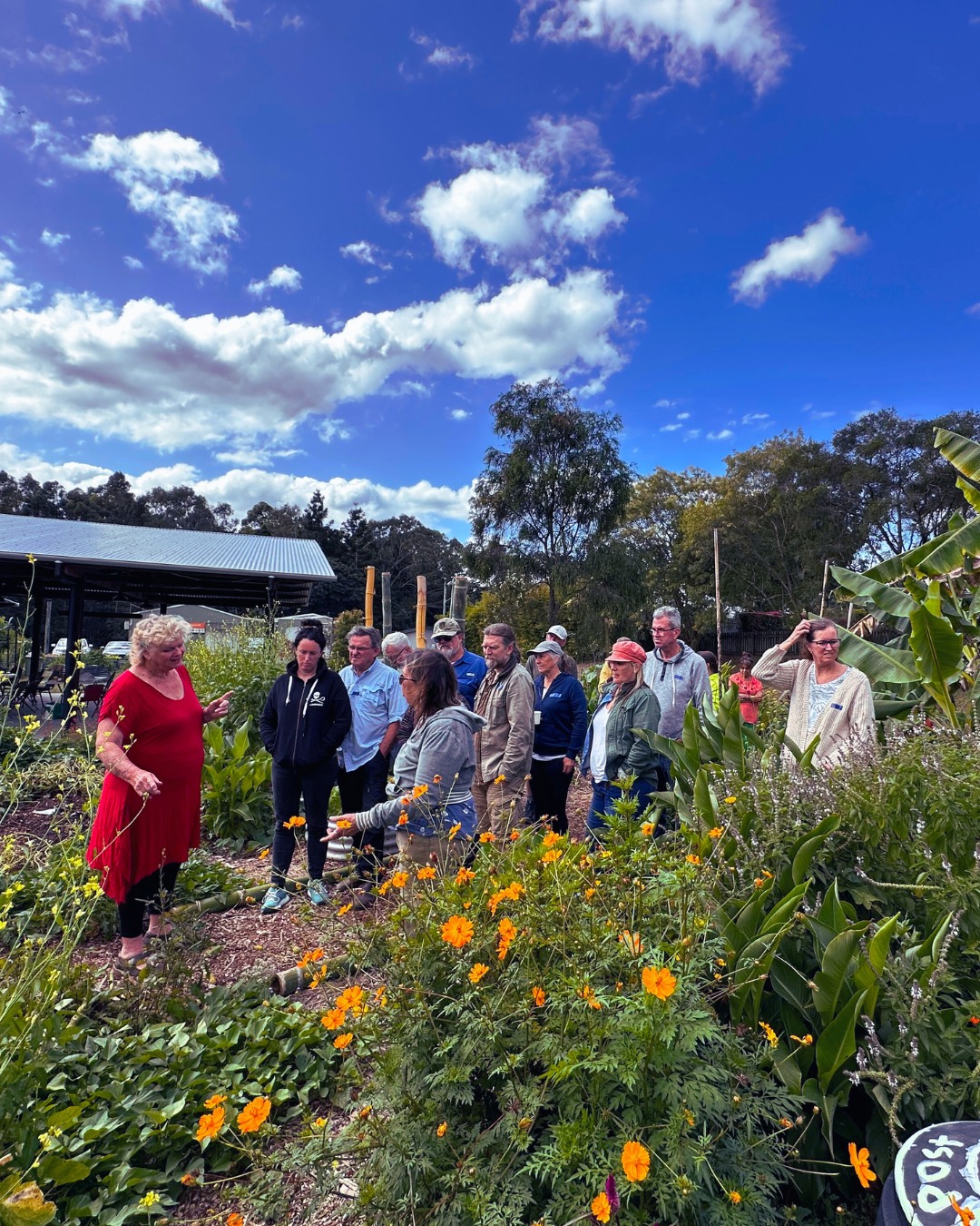 Eco Program in Australia: Experience permaculture in Australia and...