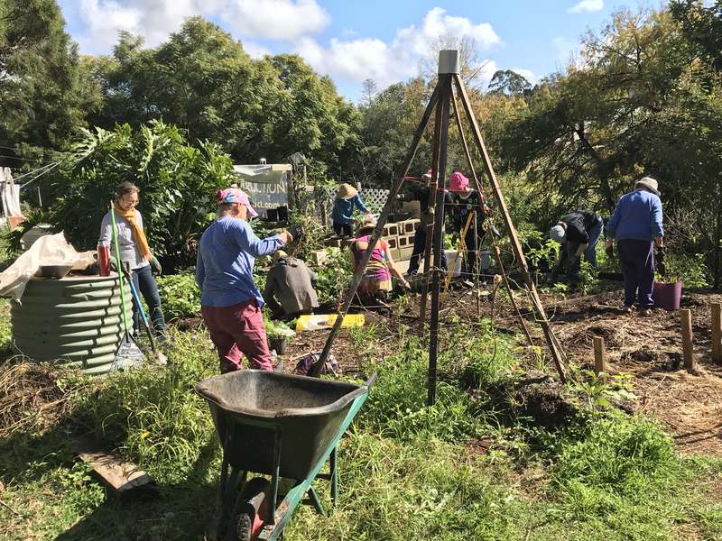 Eco Program in Australia: Live and contribute to a small Eco commu...