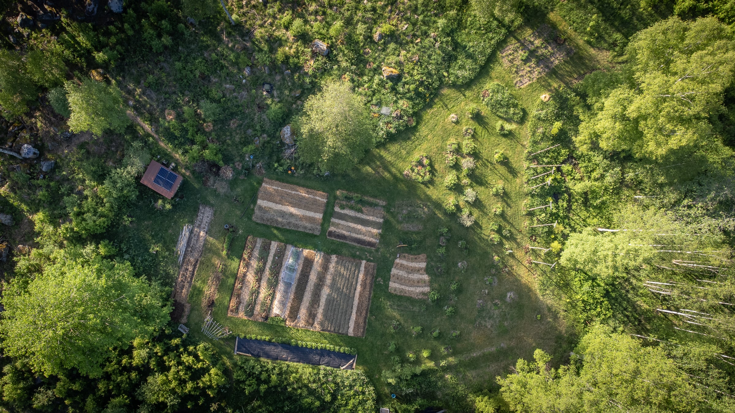 Eco Program in Sweden: Connect with Nature on our Homestead in Swe...