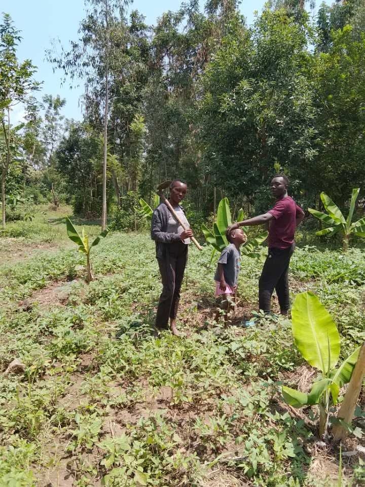 Social Impact in Kenya: Volunteer at our grassroot projects at NGE...