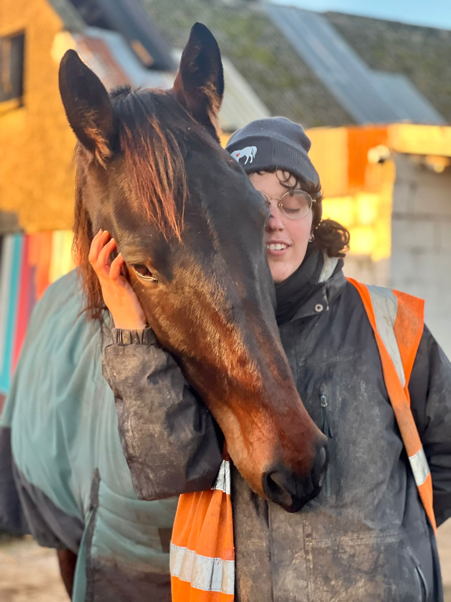 Eco Program in Ireland: Help at a Large Animal Rescue in Ireland 🇮🇪