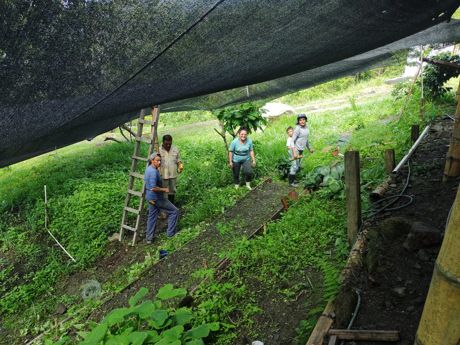 Projetos Ecológicos Colômbia: 🌿 ¡Conéctate con la naturaleza y úne...