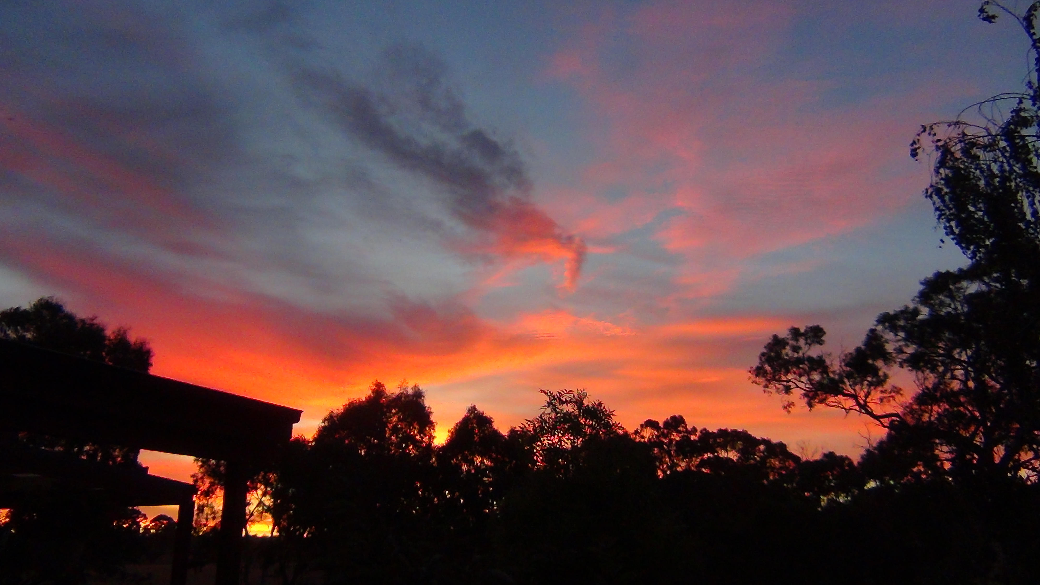 Eco Program in Australia: Farm stay on 40 acres in Adelaide Hills ...
