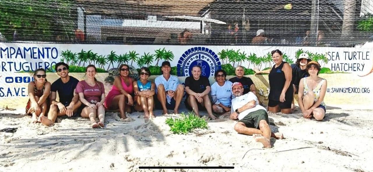 Soziale Wirkung in Mexiko: Love turtles? Join us and make a diffe...