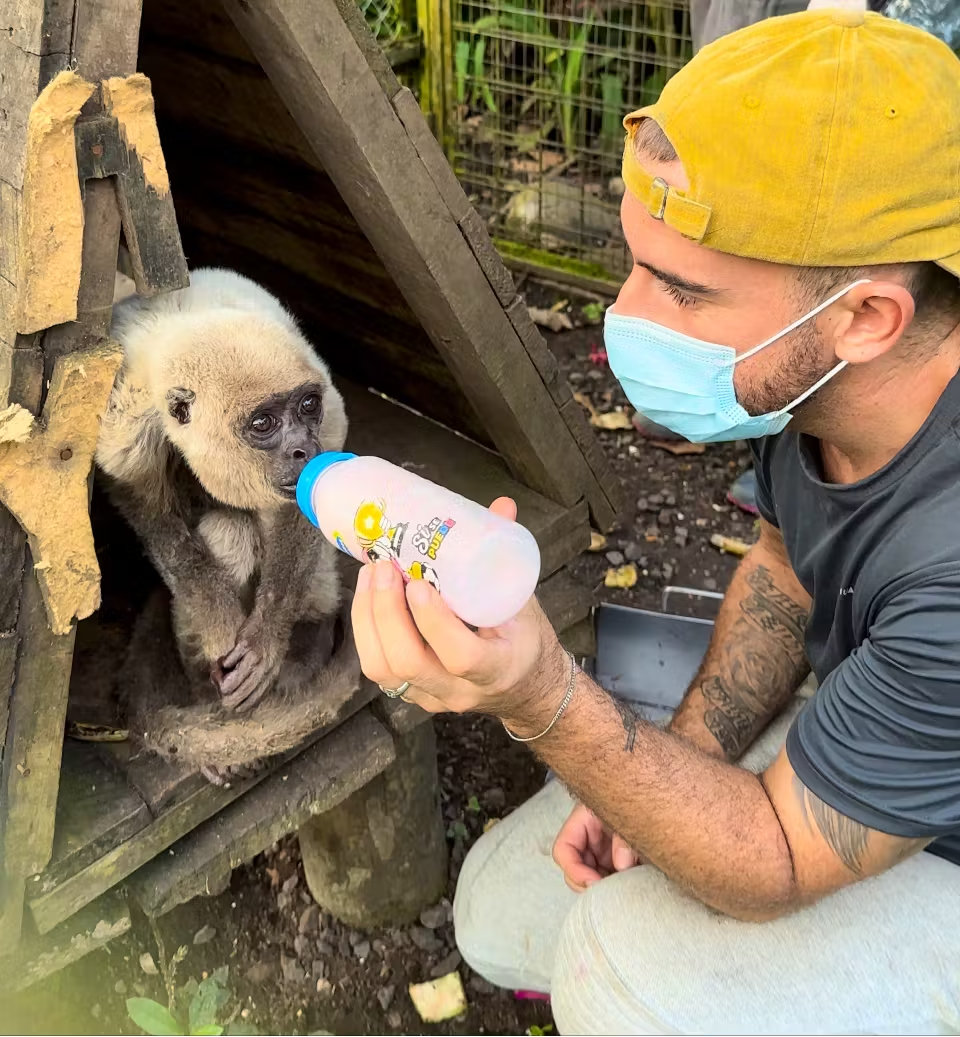 Social Impact in Ecuador: Help care for monkeys in the Ecuadorian ...