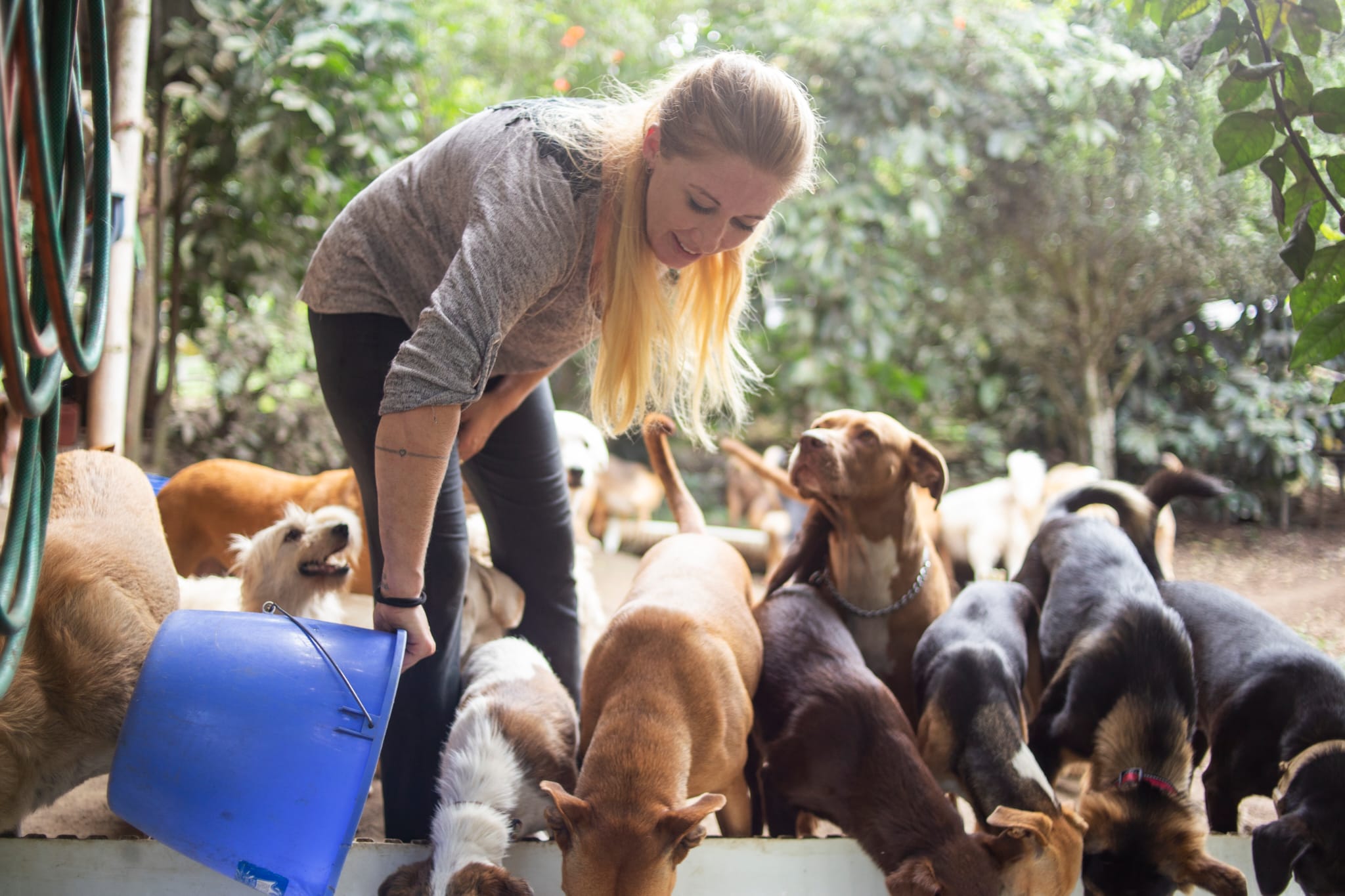 Eco Program in Ecuador: Join Us in Caring for Animals and Enjoy a ...