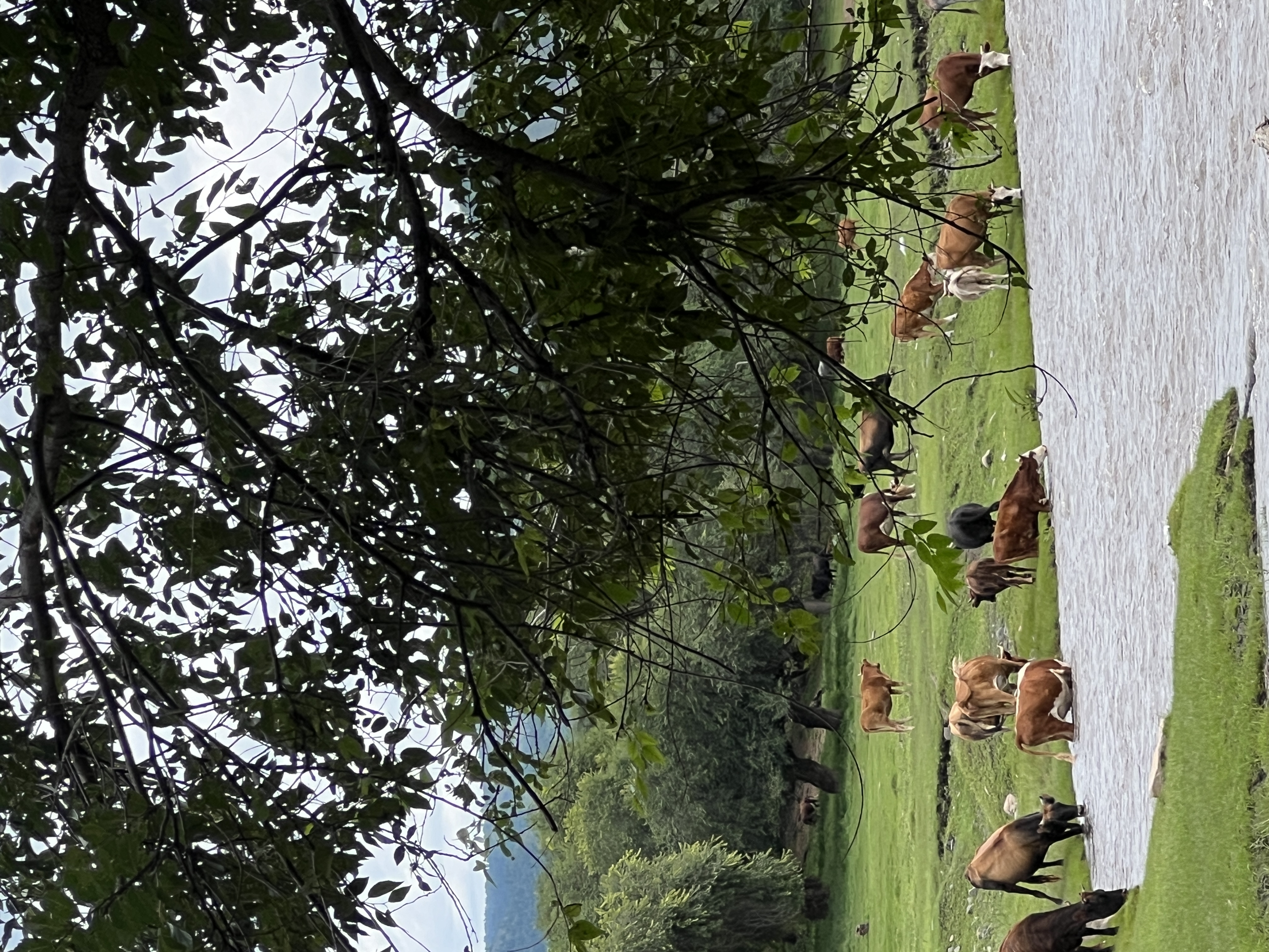 Work exchange in Mongolia: Videographers and Photographers are wel...