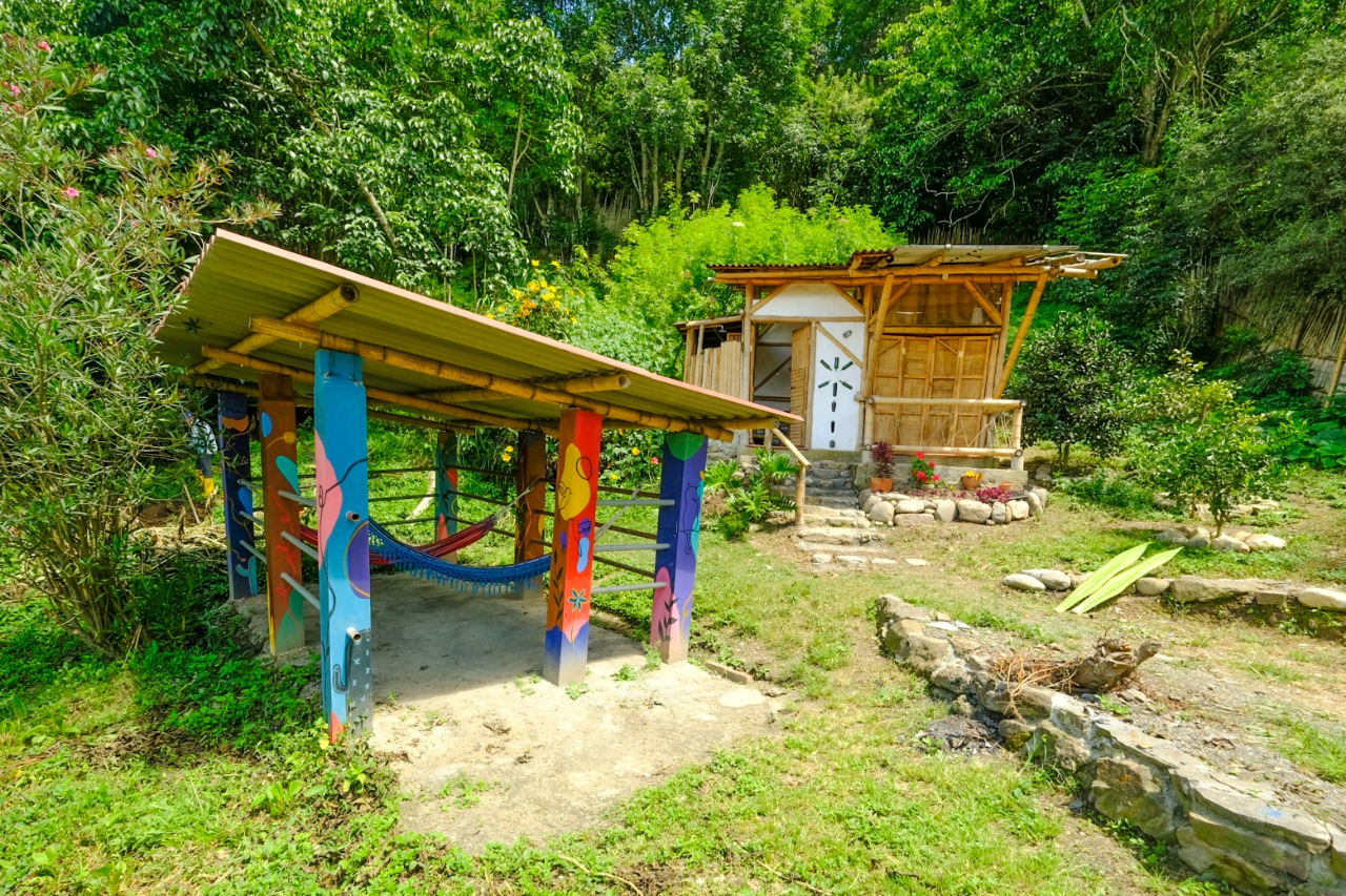 Proyectos Ecológicos Colombia: Se parte de un Proyecto Verde en el...