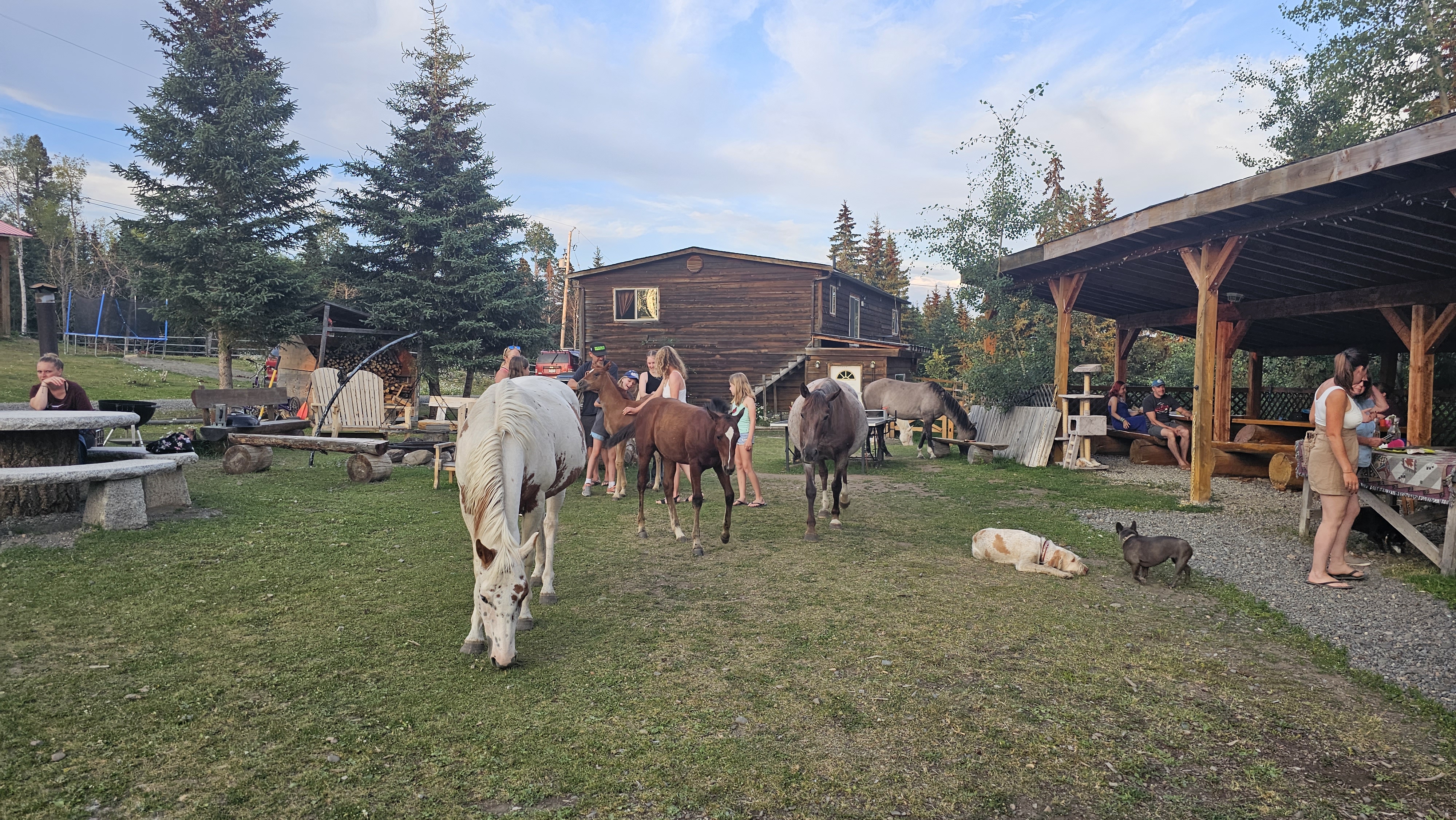 Eco Program in Canada: Trail Riding Guide & General Ranch hand in ...